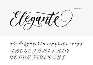 20 Calligraphic Fonts for your projects | Oppaca