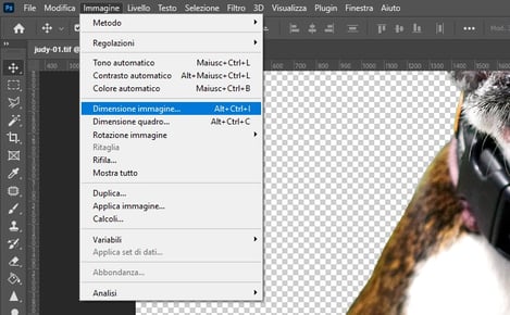 How to resize an image in Photoshop, without losing quality? | Oppaca