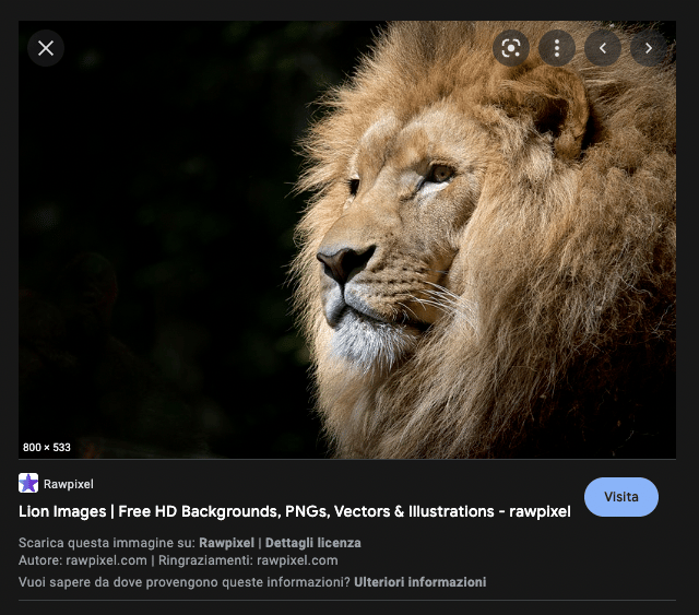Where to find copyright-free images: the 8 best sites | Oppaca