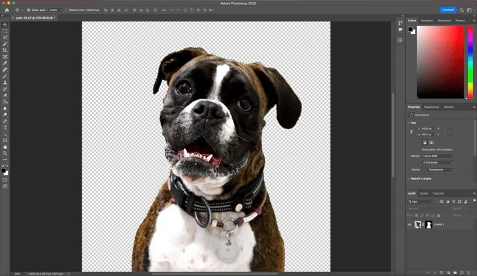Convert to vector image in Photoshop: the tutorial! | Oppaca