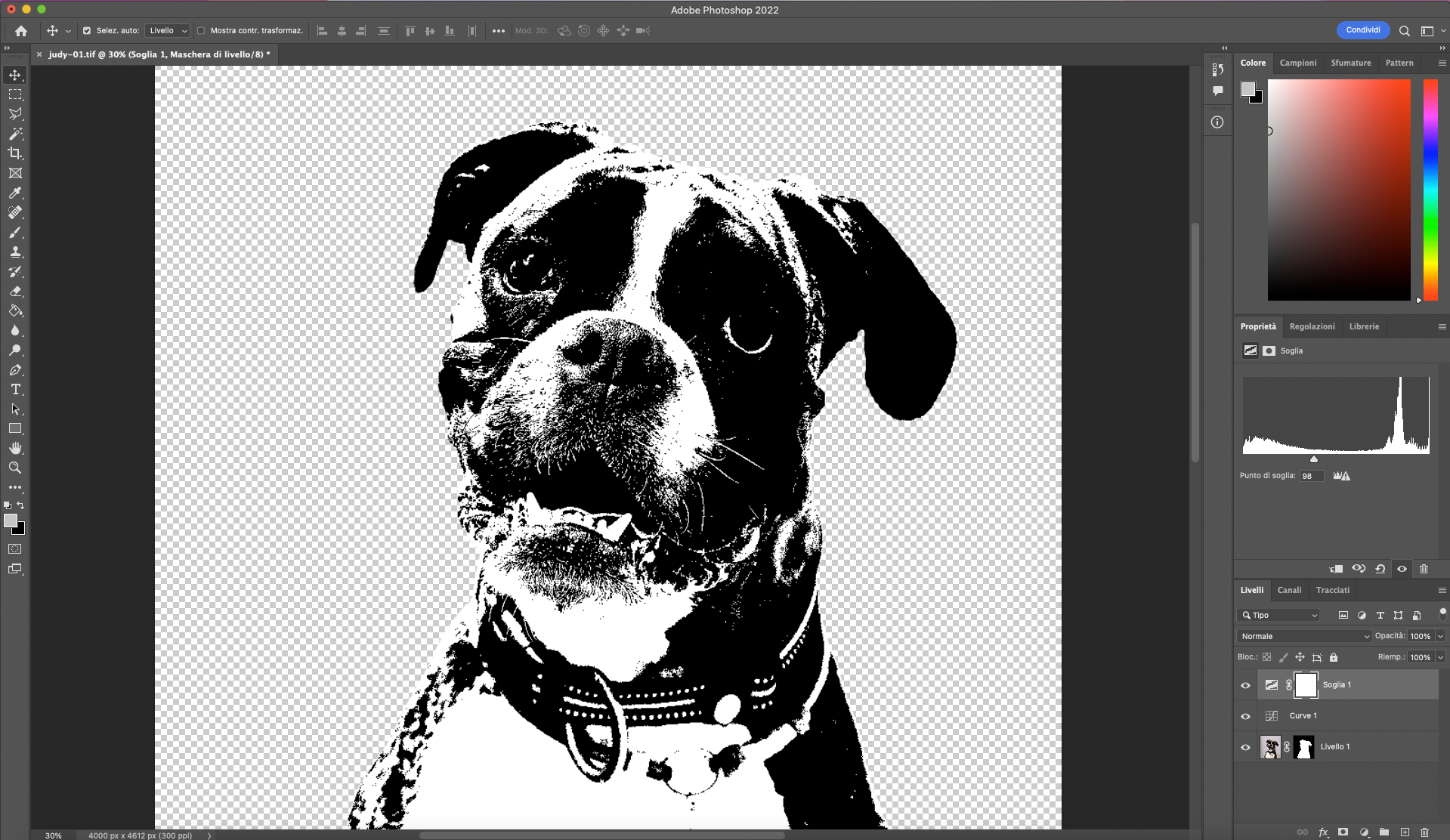 Convert to vector image in Photoshop: the tutorial! | Oppaca
