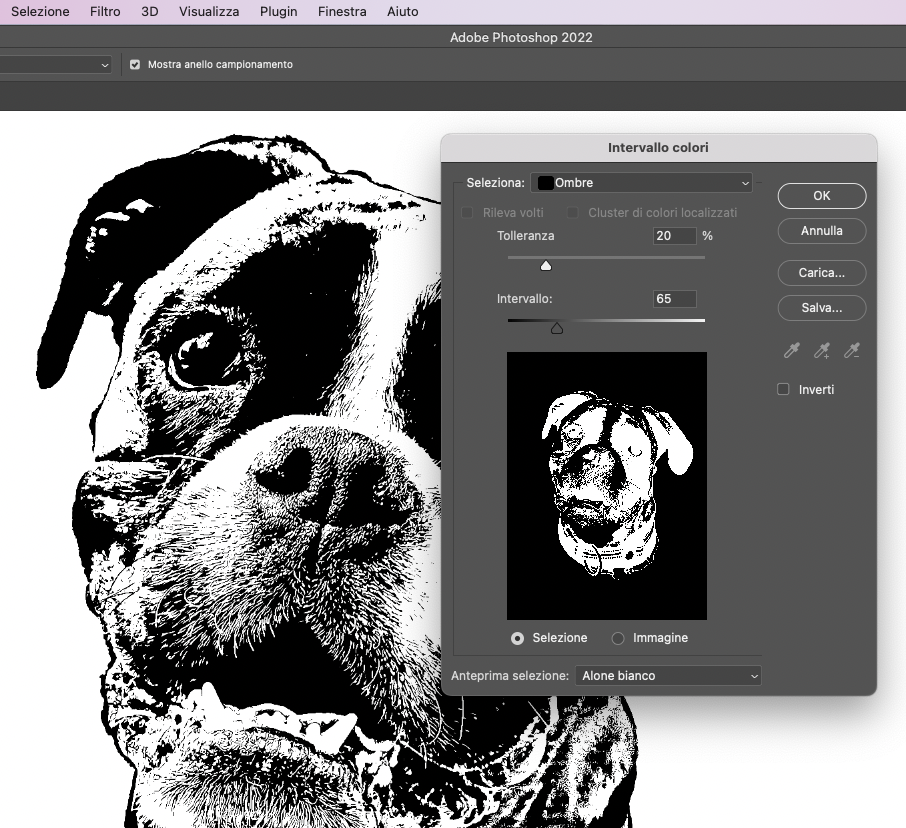 Convert to vector image in Photoshop: the tutorial! | Oppaca